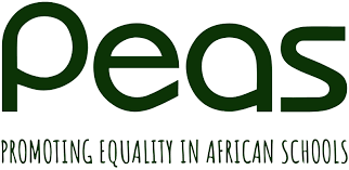 Education Officer at Promoting Equality in African Schools (PESA), Kampala, Uganda - WORKATELE